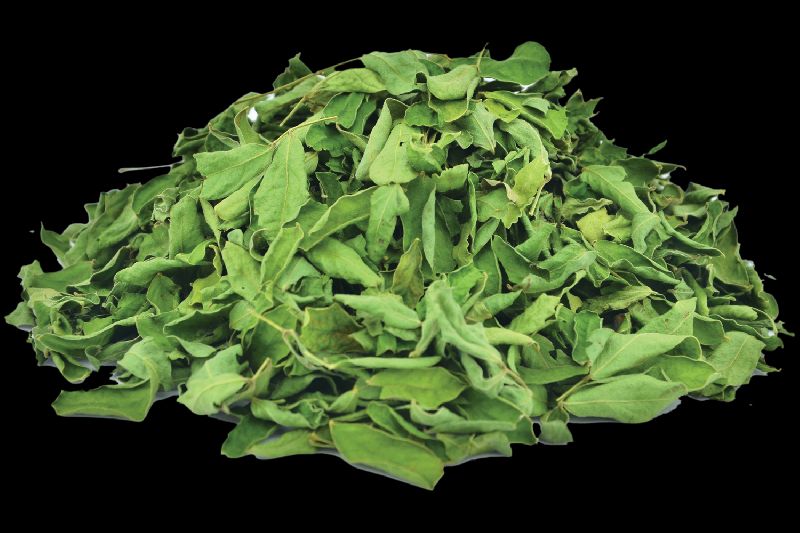 Organic Dried Sahjan Leaves at best price in churu Rajasthan from Shri ...