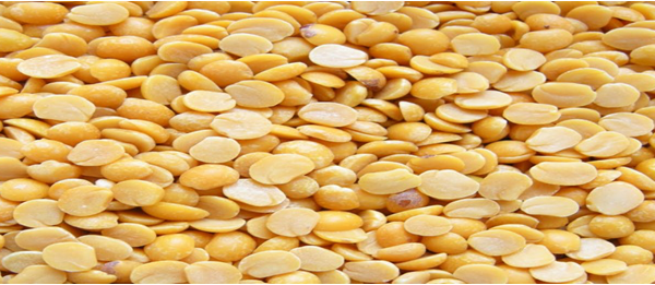 Retailer of Pulses from Indore, Madhya Pradesh by Dreams Agro Foods Pvt.Ltd