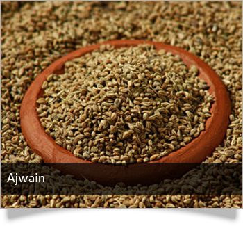 Ajwain - Phinix International, Mumbai, Maharashtra