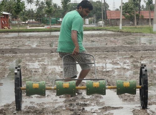 paddy planting machine by KSNM Marketing, paddy planting machine, INR ...