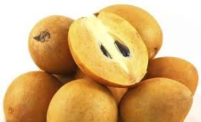 Organic Fresh Sapota, Feature : Good For Health, Good For Nutritions ...