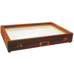 Insect Storage Box at Best Price in Ambala | Radical Instruments