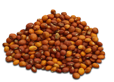 Whole Toor Dal, Packaging Type : Jute Bag, Plastic Bag, Packaging Size ...