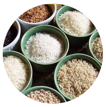 Organic Kerala Matta rice - Pentos Trading LLP, Kochi, Kerala