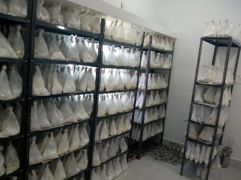 Mushroom Smart Lab Jharkhand in Ranchi - Exporter of Mushroom Spawn ...