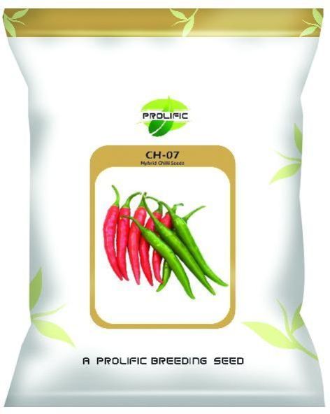 Hybrid Chilli Seeds, Cultivation Type : Common,Natural at Rs 18,000 ...