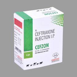 Ceftriaxone Injection I.P at best price INR 189 / Pack in Mahesana ...