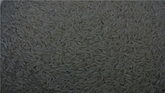 Hard Organic Kali Mooch Rice, for Cooking, Certification : FSSAI ...