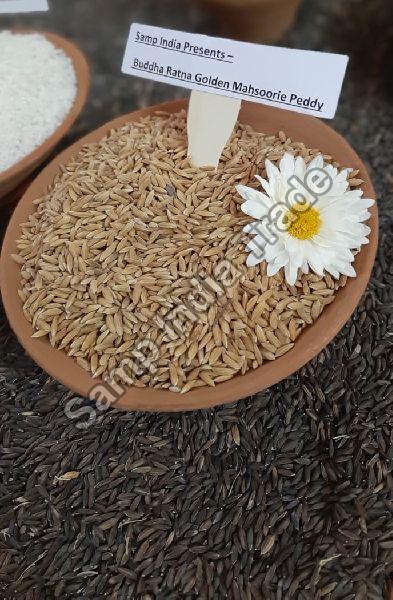 Buddha Ratna Rice at Rs 1,800 / Kilogram in Mirzapur | Samp India Trade