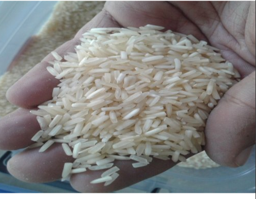 dubar basmati rice, Variety : Medium Grain, Packaging Type : Jute Bags ...