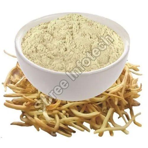 Safed Musli Powder, Application : Medicine Use, INR 1,600INR 1,800 ...
