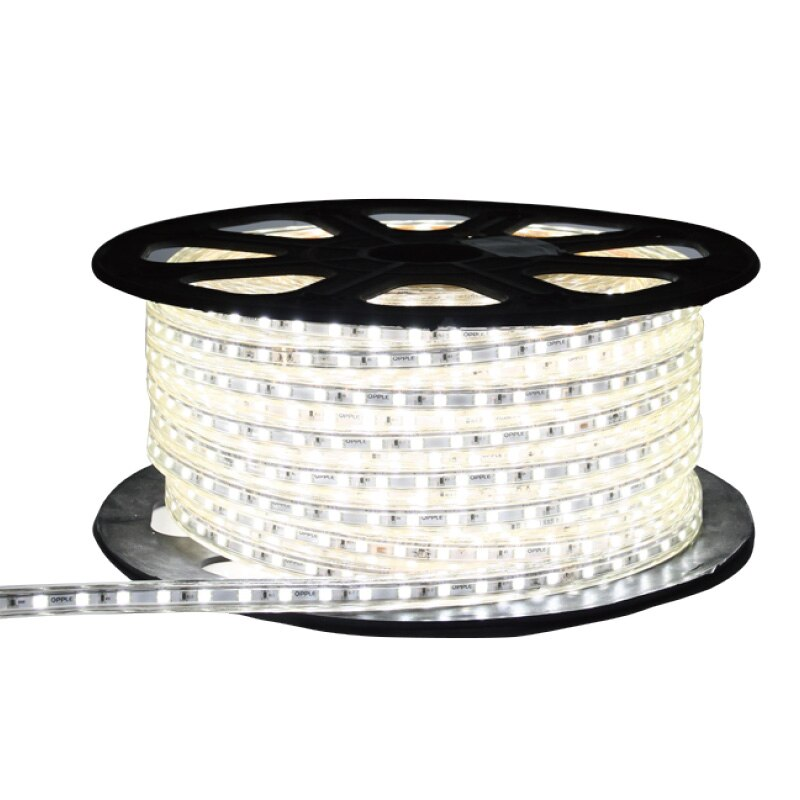 LED Rope Light at best price INR 6,000 / Piece in Mumbai Maharashtra ...