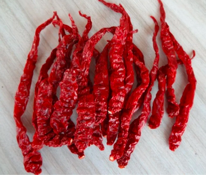 Dark Red byadgi chilli, INR 180 / Kilogram by Green Digi Herbs from ...