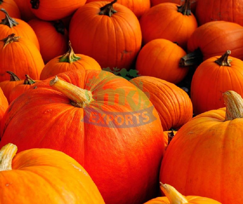 Natural Fresh Pumpkin, for Human Consumption at Best Price in Navi ...