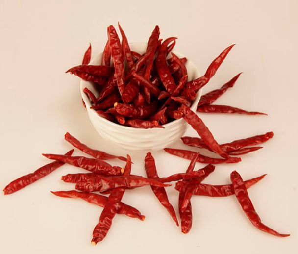Teja S17 Stemless Red Chilli by Rathore Food Processing Industries from ...