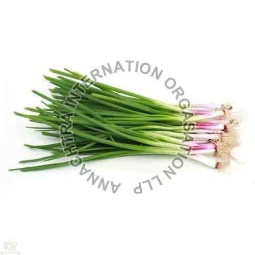 Natural Fresh Spring Onion - Annachtra Internation Orgasation LLP ...