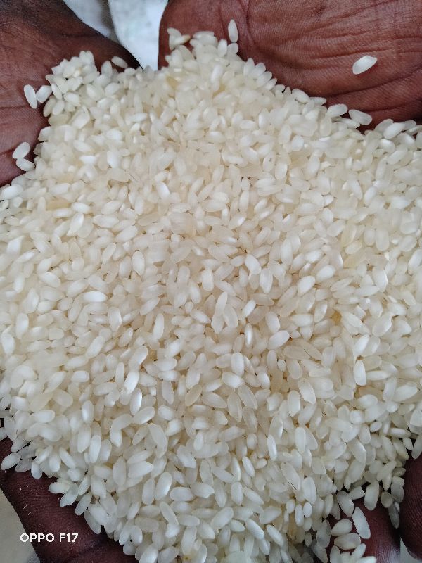 Aadhi rice trader in Kanchipuram - Supplier of IdlyRice & Fine Rice