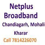 Netplus Broadband Chandigarh in Chandigarh - Retailer of Netplus ...
