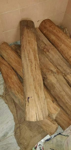 White Sandalwood, Form : Sticks, Purity : 100% Natural at Rs 8000 in ...