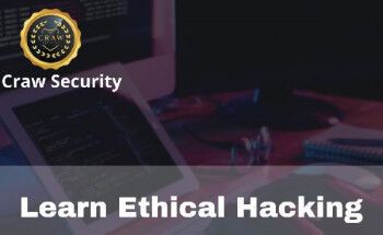 Craw Cyber Security Pvt. Ltd. in Delhi - Service Provider of ethical ...