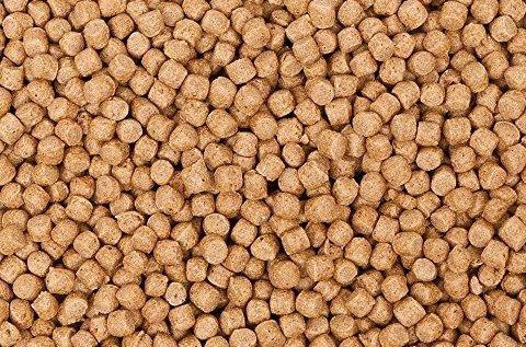 Brown Dried Floating Fish Feed, Feature : Natural, Packaging Type : Bag ...