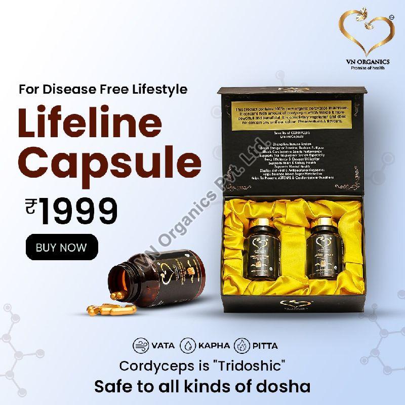 VN Organics Lifeline Cordyceps Capsules at Best Price in Gwalior - ID ...