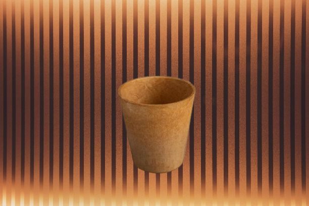 Edible Cups at Rs 3 in Ahmedabad - ID: 6793221 | Apllute India