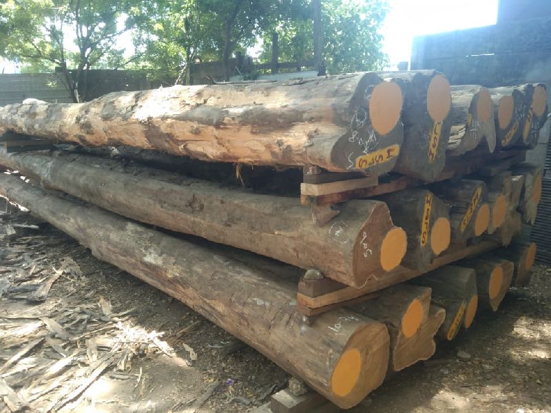 srinivasan timber and wood works in Pondicherry - Trader of Burma Teak ...