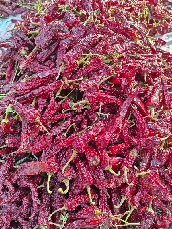 Dabbi Dry Red Chilli - SVK Agro Trading, Ballari, Karnataka