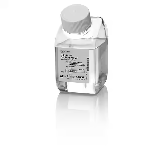 Invitrogen UltraPure™ DNase/RNase-Free Distilled Water, Form : Liquid ...