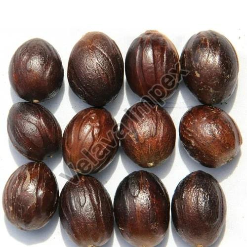 Organic Shelled Nutmeg, Form : Solid, Specialities : Good Quality ...