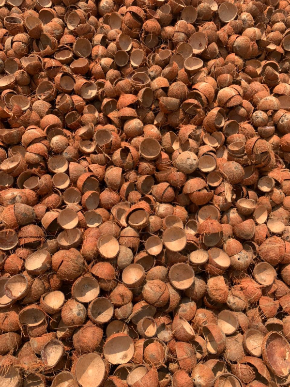 Brown Natural Coconut Shell, for Handicraft, Industrial, Style : Dried ...