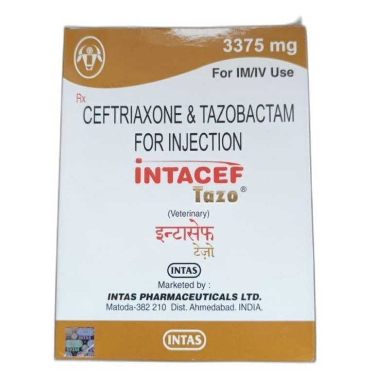 Intacef Tazo Injection, Form : Solution at Best Price in Mahesana ...