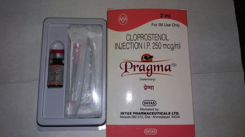 Pragma Injection, For Veterinary, Packaging Size : 2ml - Dhanlaxmi Distributers, Mahesana, Gujarat