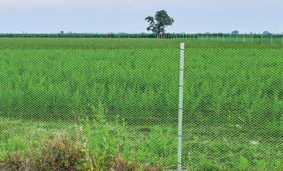 Indonet Hdpe Fencing Net, Length : 25.0 Metre Or Customised, Feature ...