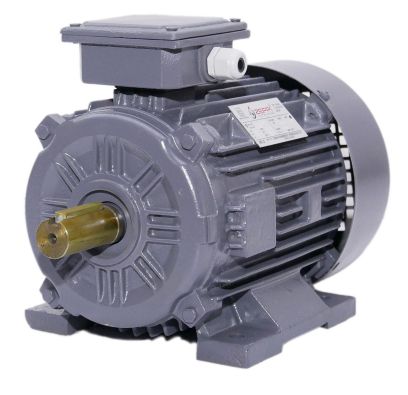 IE2 Cast Iron Foot Mounted Induction Motor at Rs 5,521 / Piece in Rajkot | Zeppi Electric Motors ...