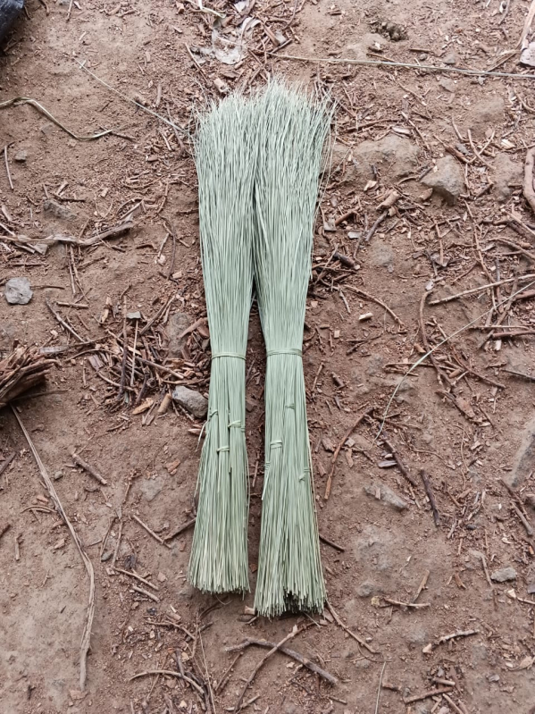 Green Dharbai Grass, For Pooja Spiritual Products, Grade Standard ...