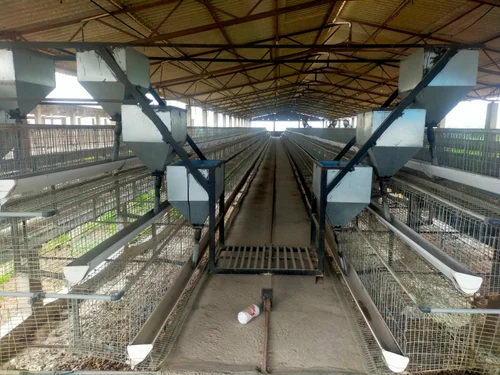Poultry Feed Trolley at Rs 1.25 Lakh / Piece in Pune | Pacific Agro ...