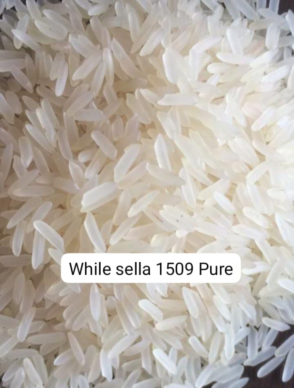 1509 White Sella Basmati Rice, Variety : Medium Grain at Rs 70 ...