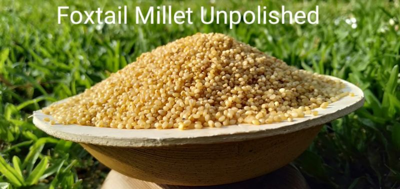 Millets mantra traders in Shimoga - Supplier of Organic Foxtail Millet & Organic Kodo Millet