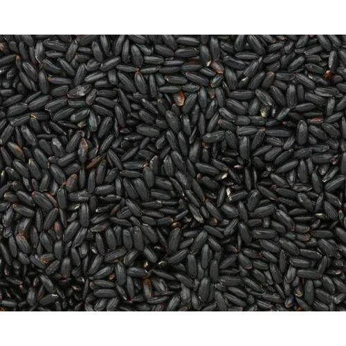Black Organic Rice, Packaging Type : Bag at Rs 300 / Kilogram in ...
