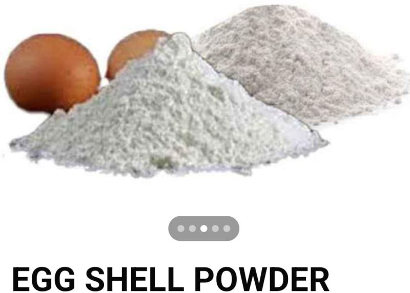 Nutan trading company in Himmatnagar - Manufacturer of Egg Shell Powder ...