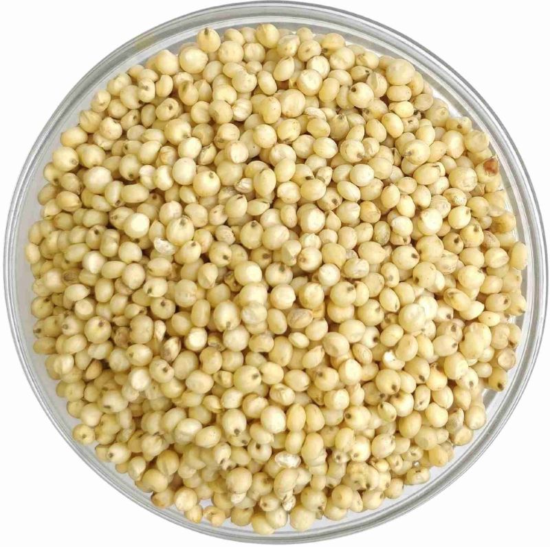 Fine Processed Organic Dried Millet Seeds, Color : Yellow at Rs 30 in ...