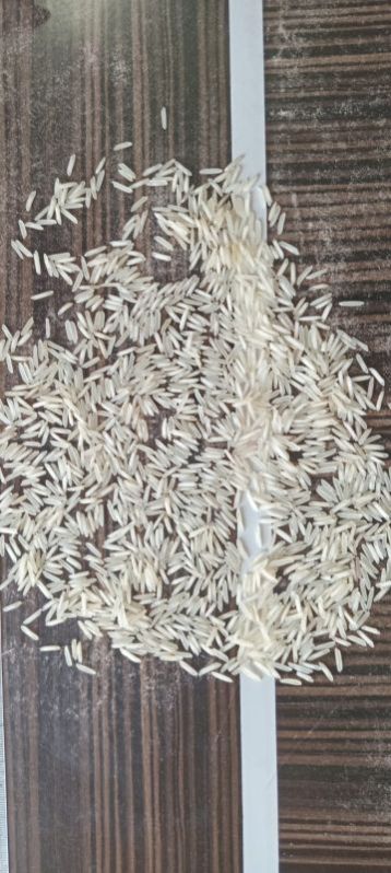 Future Plus 1509 Basmati Rice, Color : Creamy White, Golden Sela ...