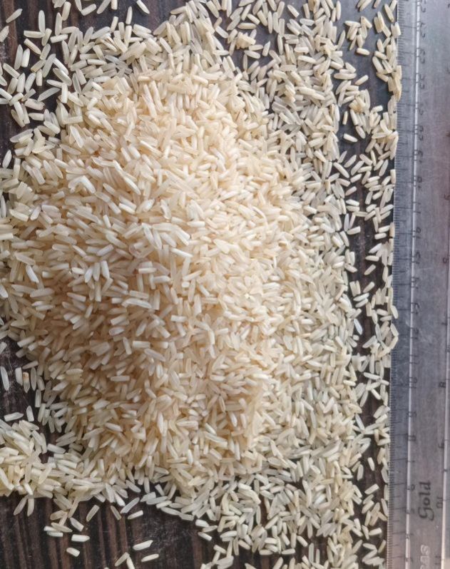 Steam Basmati 1509 Tibar Rice, Packaging Type : Your Choice at Rs 40 in ...