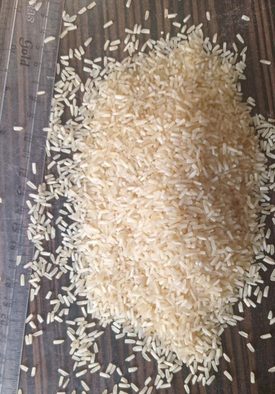 Basmati 1509 Super Dubar Rice, Packaging Size : Your Choice at Rs 35 in ...