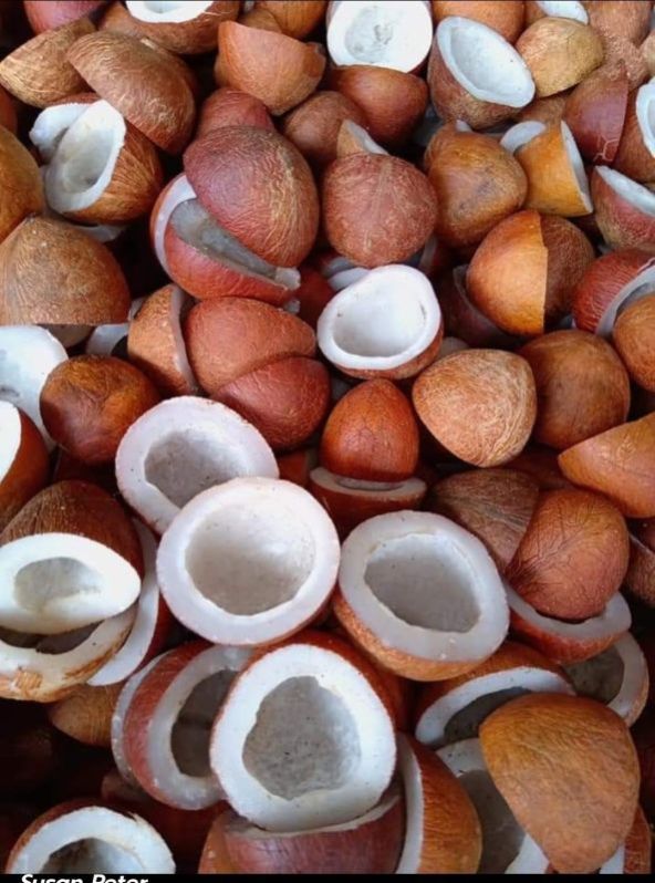 Brown Organic Dried Coconut Copra, Taste : Light Sweet For Oil, Cooking ...