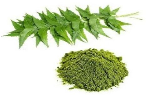 Neem Leaf Powder, Color : Green For Cosmetic, Medicine at Best Price in ...