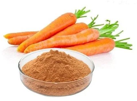 Carrot Powder 99%, Packaging Type : Packet at Best Price in Navi Mumbai ...