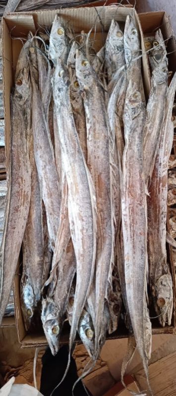 Whole 10-20kg Dried Fish (ribbon Fish), Variety : Salted Dry, Packaging ...